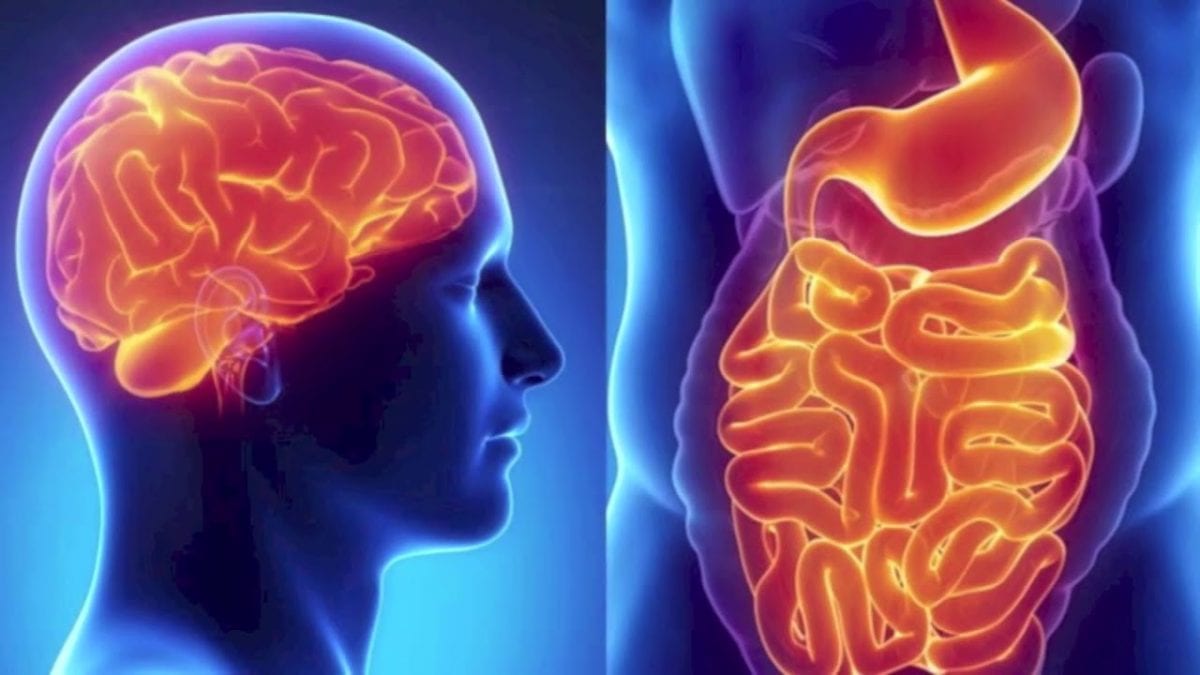 Your Gut Feeling is More Important Than You Think! – iOrganiclife